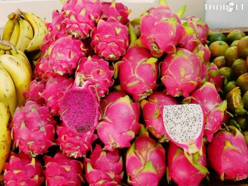Thai Fruits – List of Amazing Fruits to Try in Thailand
