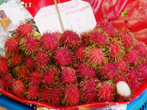 Thai Fruits – List of Amazing Fruits to Try in Thailand
